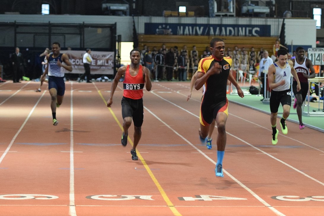 NBIN - New York Viewer's Guide